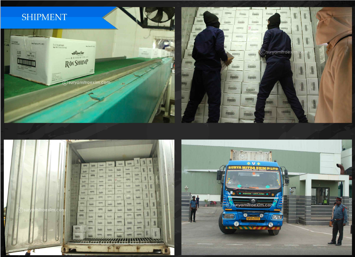 Suryamitra Exim Pvt. Ltd.